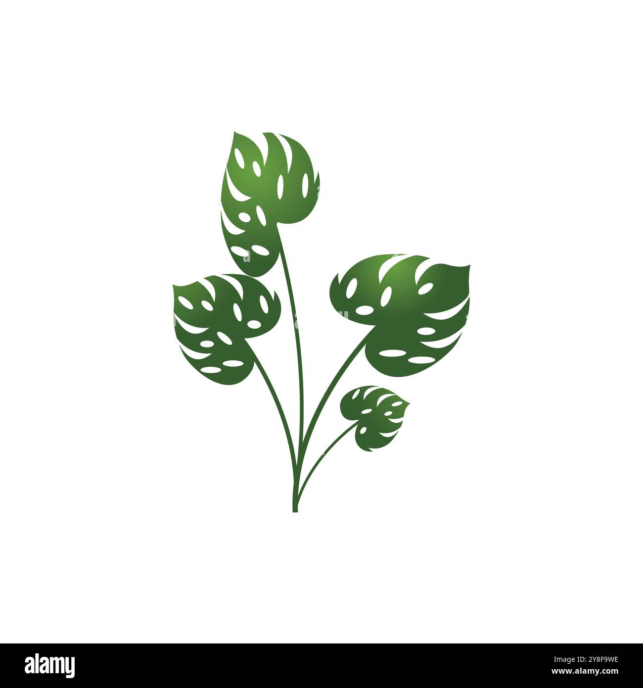 Monstera leaf logo vector design Stock Vector Image & Art - Alamy