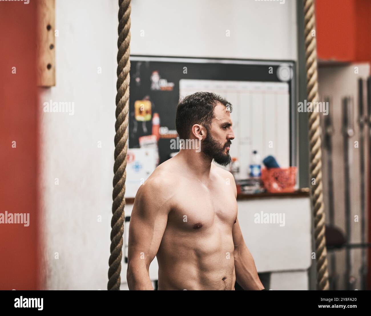 Body transformation gym hi-res stock photography and images - Alamy
