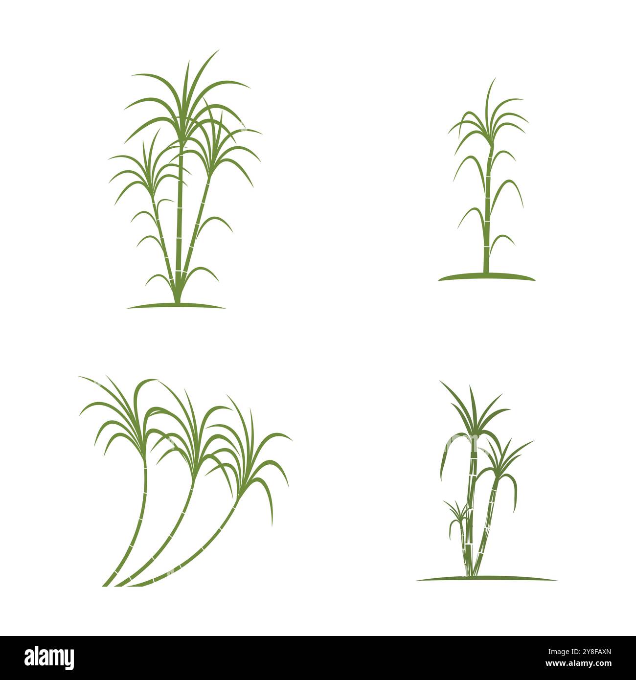 Sugar cane Logo Template vector symbol nature Stock Vector Image & Art ...