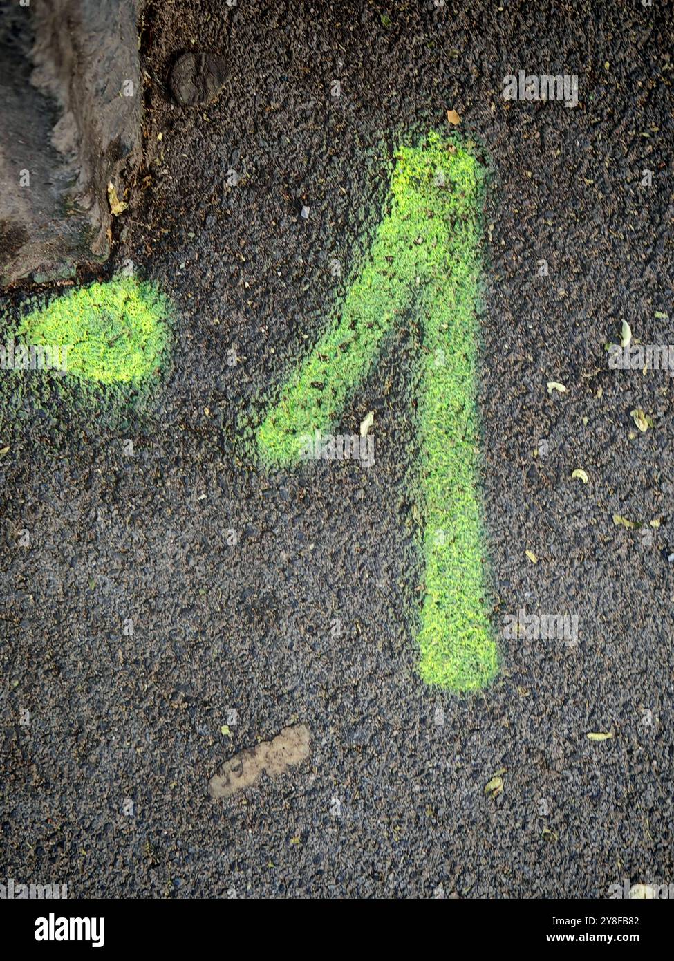 symbol of the number one or the first, an arabic numeral the number one ...