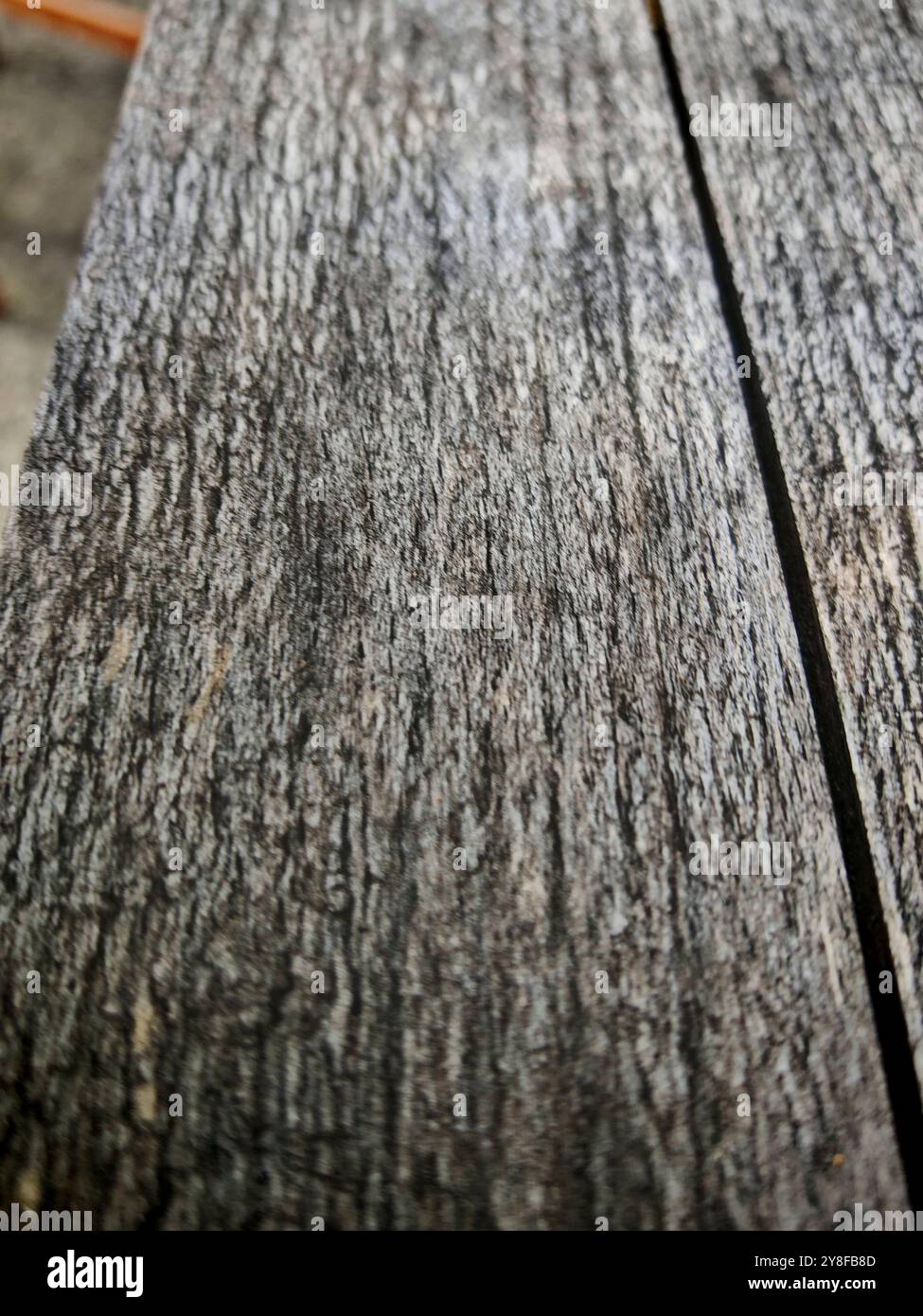 pattern and wood grain, structures on the surface of wood wood pattern ...