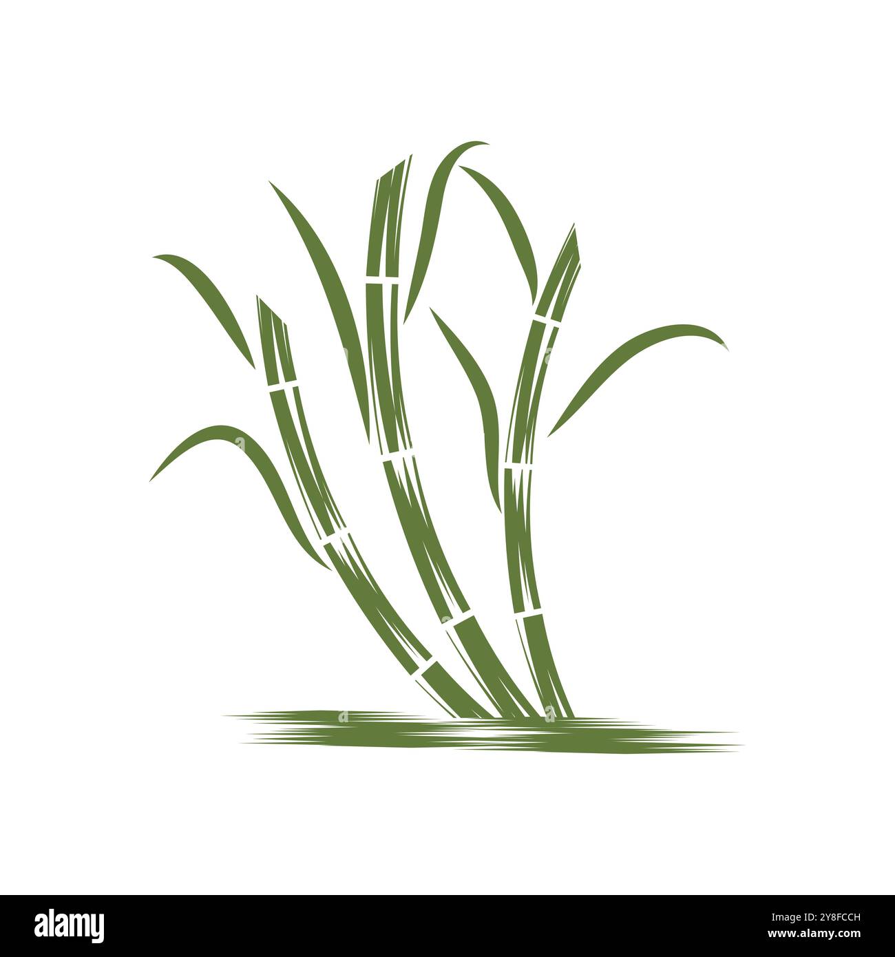 Cane sugar vector logo hi-res stock photography and images - Alamy