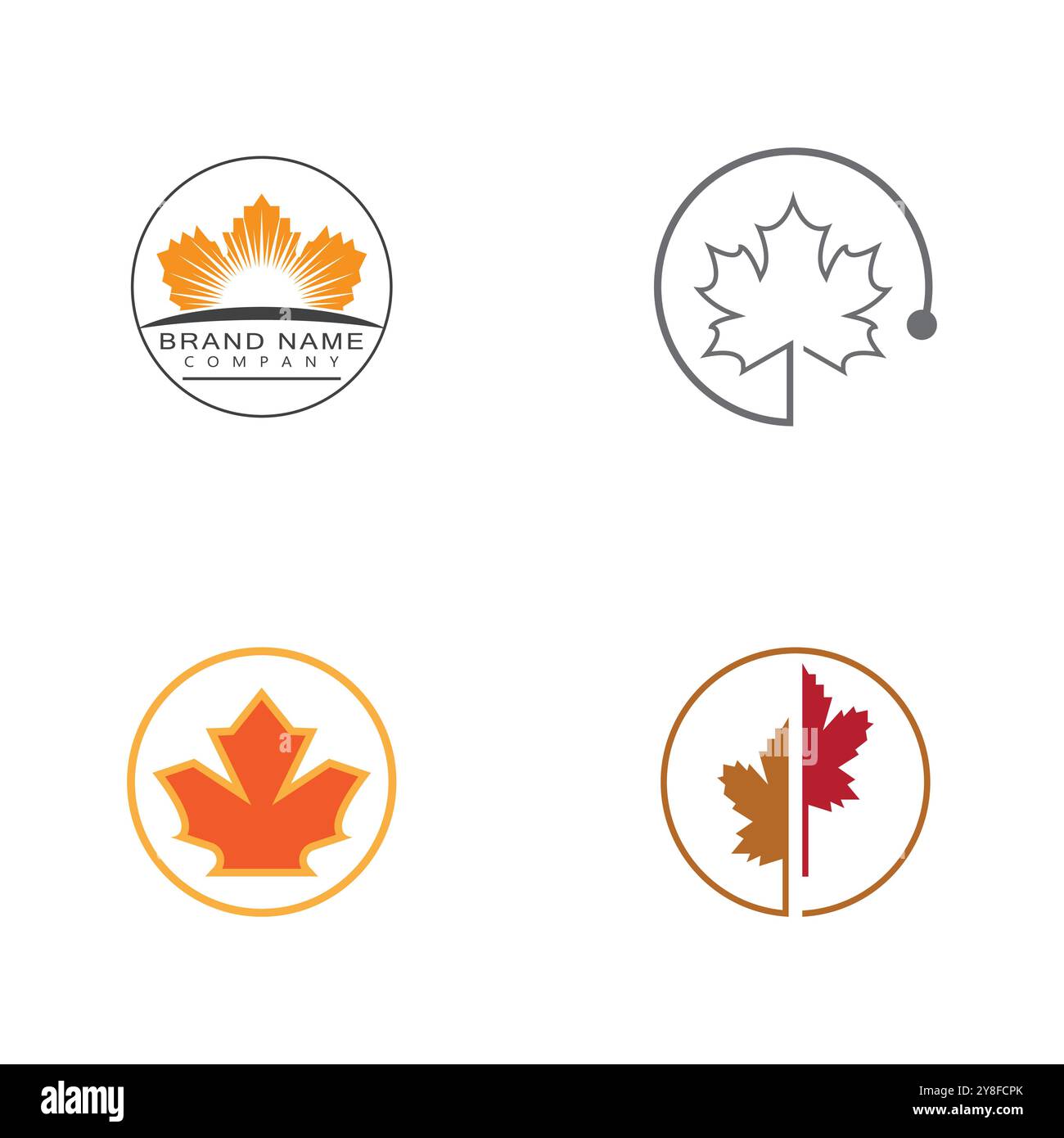 Maple leaf vector illustration design template Stock Vector Image & Art ...