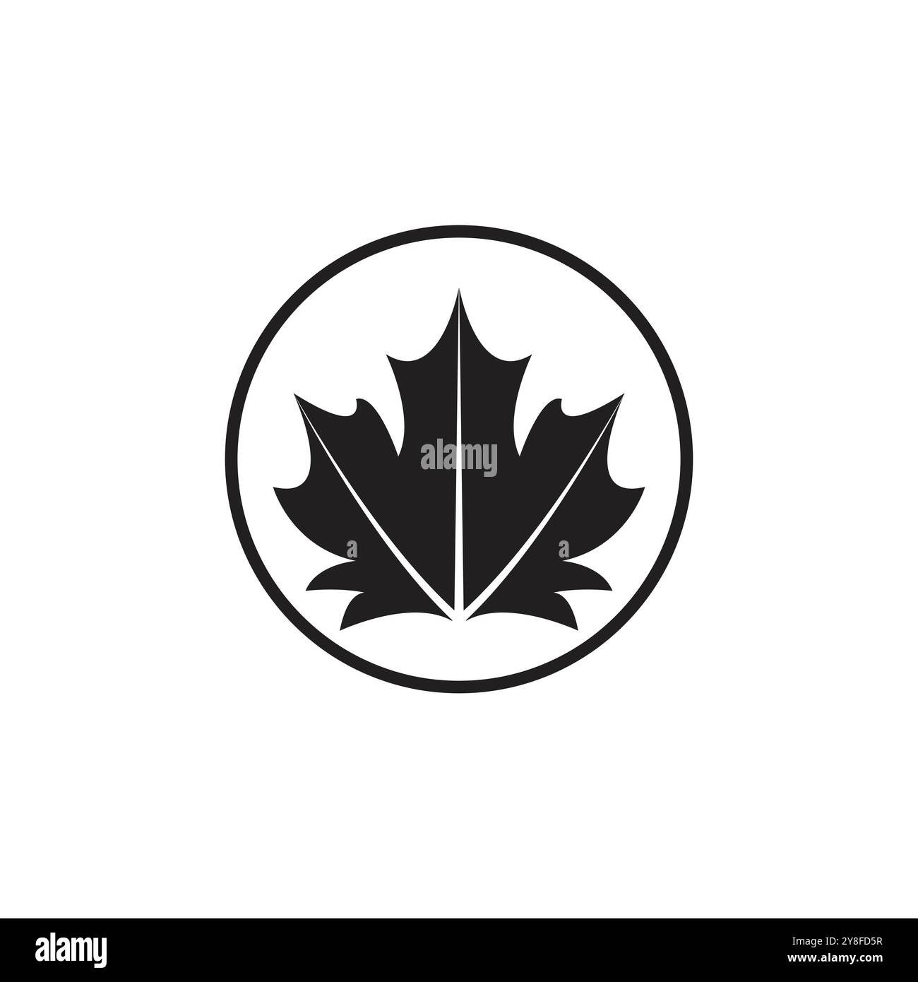 Abstract yellow maple leaf Stock Vector Images - Alamy