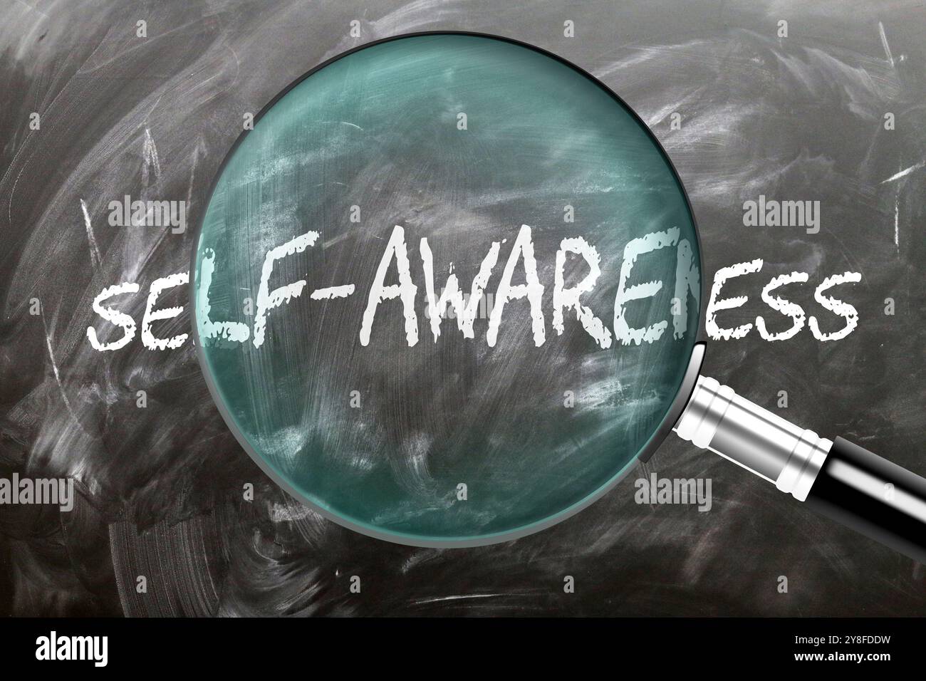Self-Awareness - learn, study and inspect it. Taking a closer look at ...