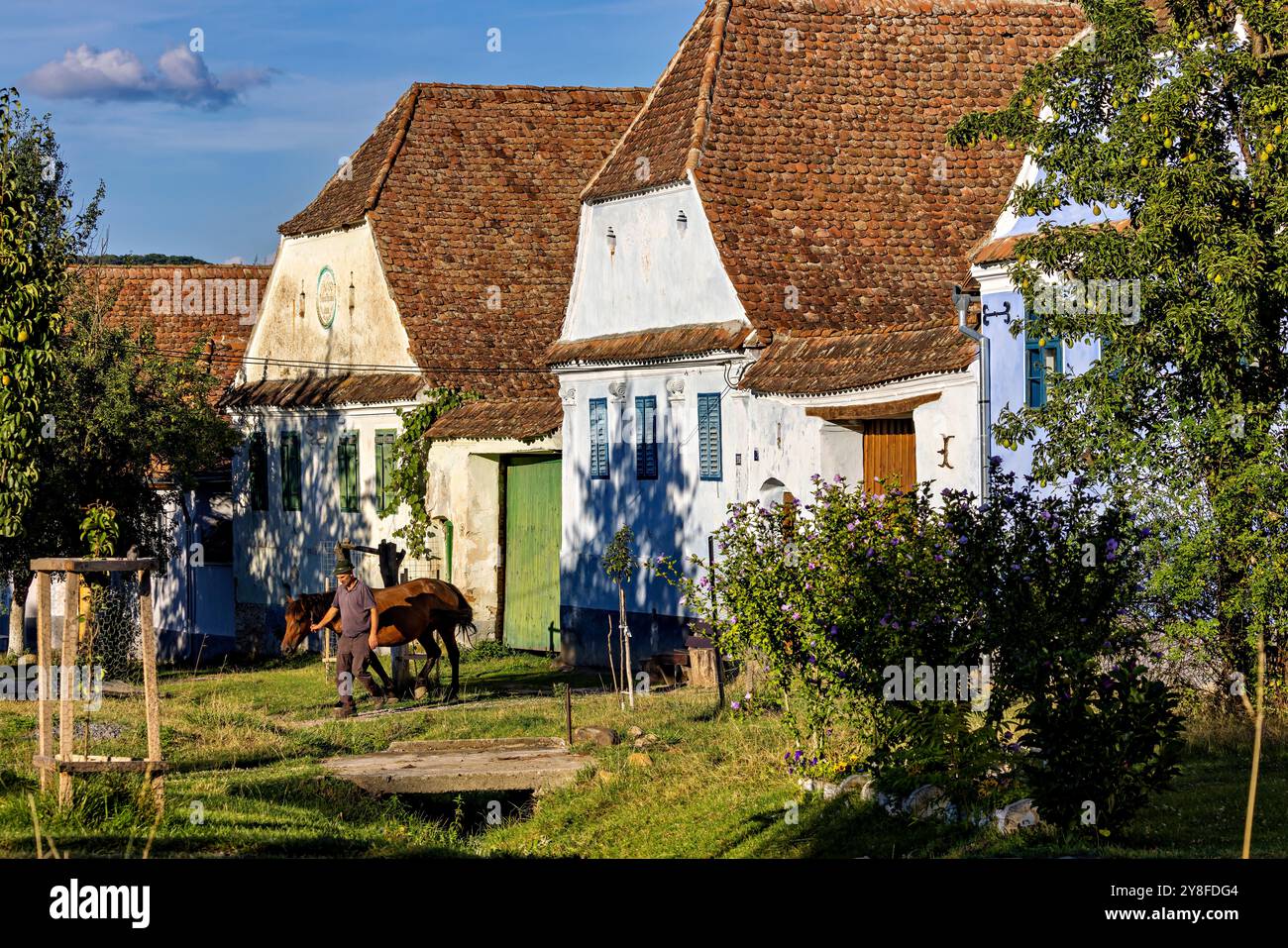 The Transylvanian Saxon Farms in Viscri Stock Photo - Alamy