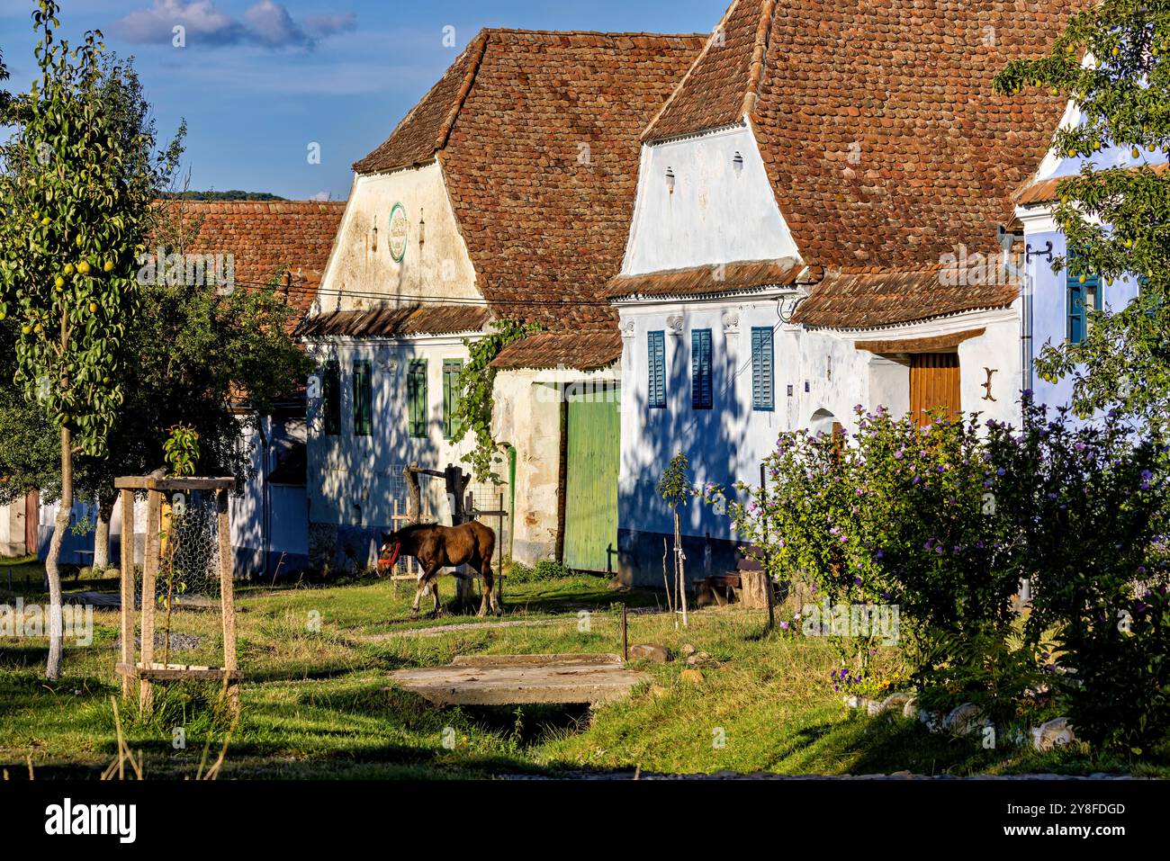 The Transylvanian Saxon Farms in Viscri Stock Photo - Alamy