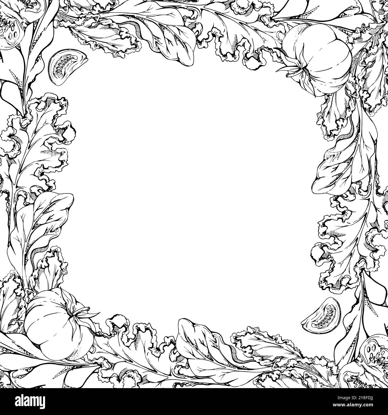 Green salad spinach kale leaf tomato, diet healthy lifestyle, vegan ...