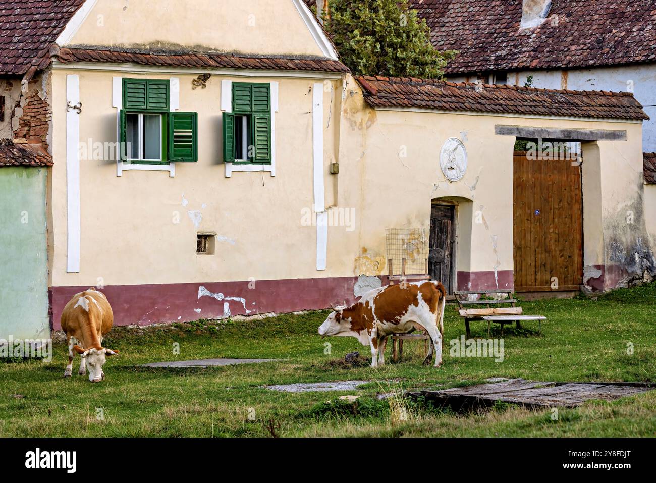 The Transylvanian Saxon Farms in Viscri Stock Photo - Alamy