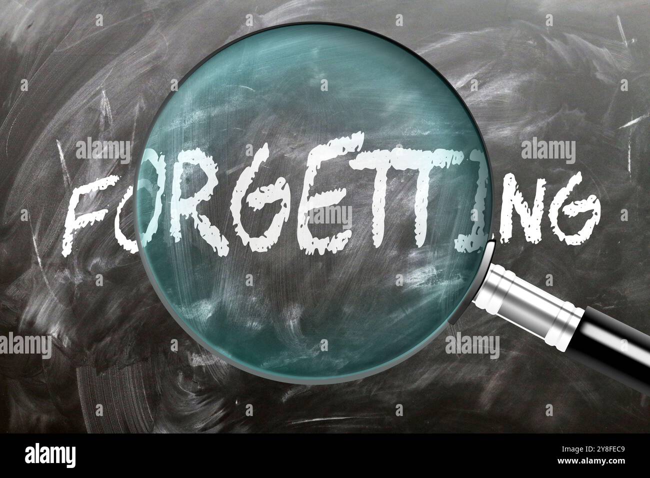 Forgetting - learn, study and inspect it. Taking a closer look at ...