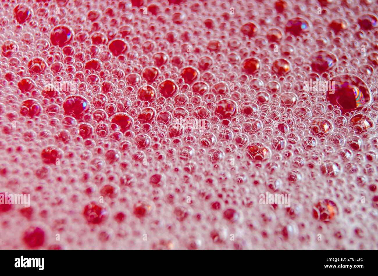 Top view of Macro shot of bubbles forming on a water surface with red ...