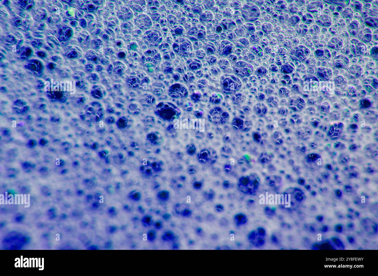 Top view of Macro shot of bubbles forming on a water surface with dark ...