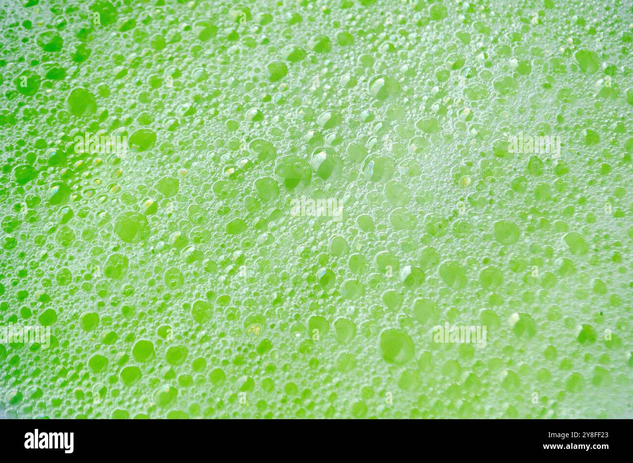 Bubbles rising slowly through a thick, green colored liquid Stock Photo ...