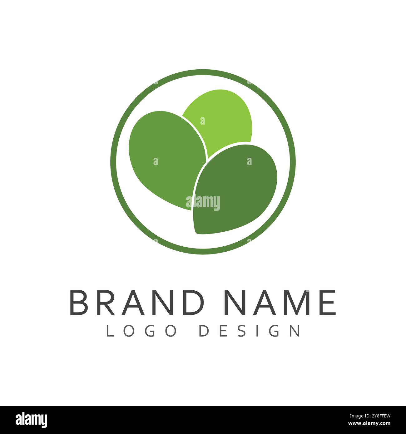 Moringa Leaf Logo Template Vector Symbol Nature Stock Vector Image ...