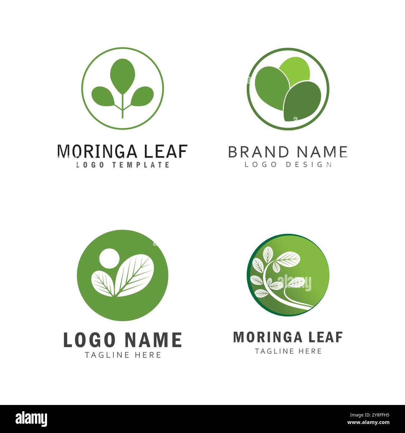 Moringa Leaf Logo Template Vector Symbol Nature Stock Vector Image ...