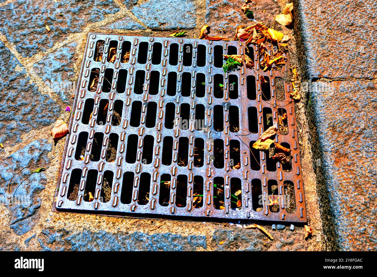 Sewer system with autumn leaves. Drain cover embedded in the ground ...