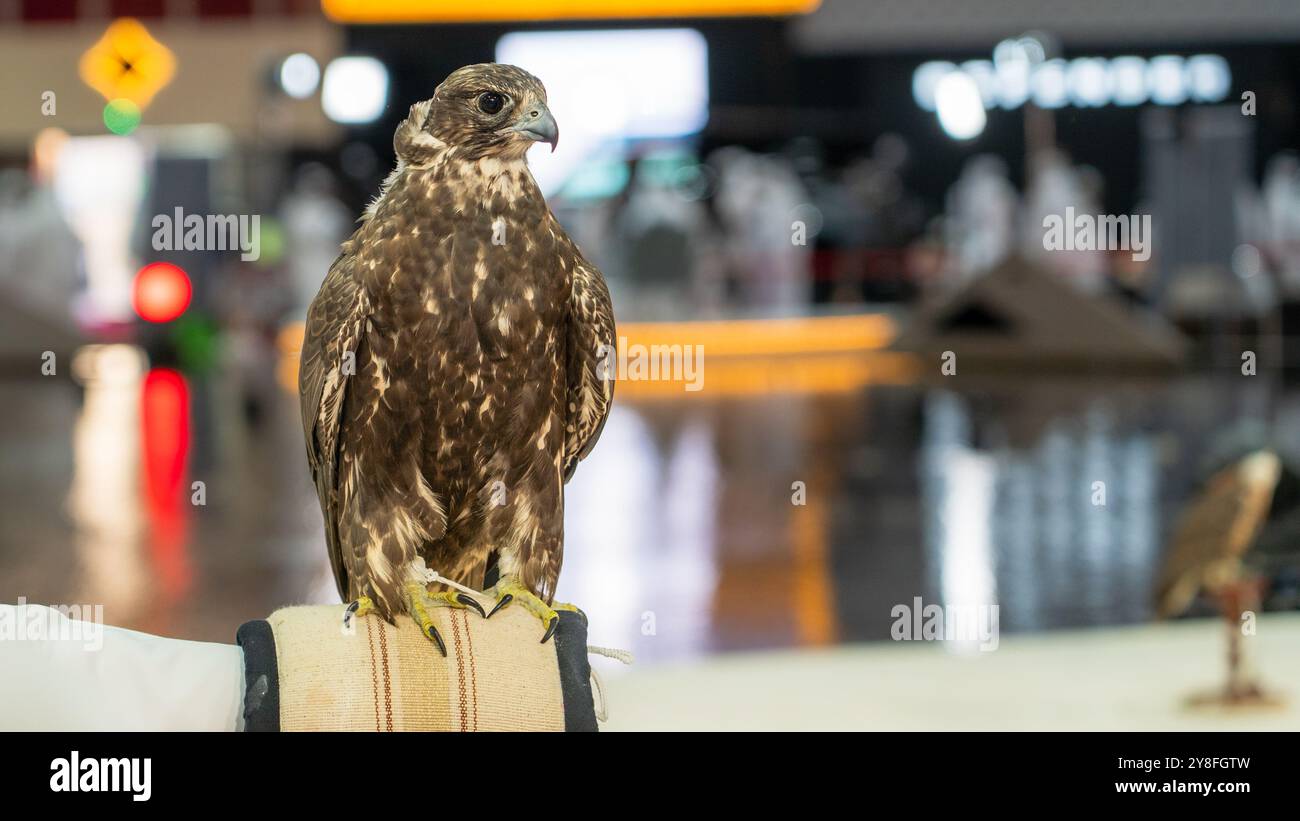 A majestic falcon captured in a striking pose, showcasing its sharp ...