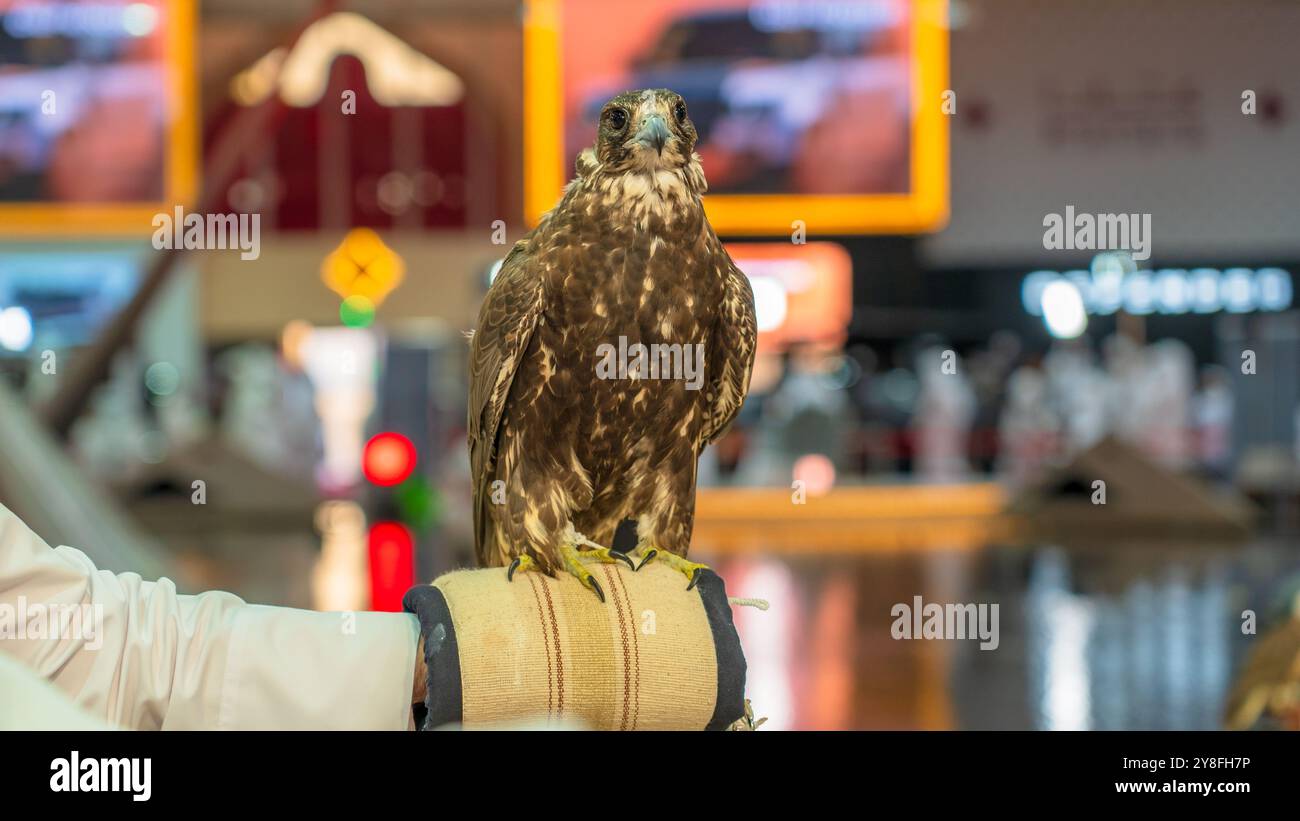 A majestic falcon captured in a striking pose, showcasing its sharp ...