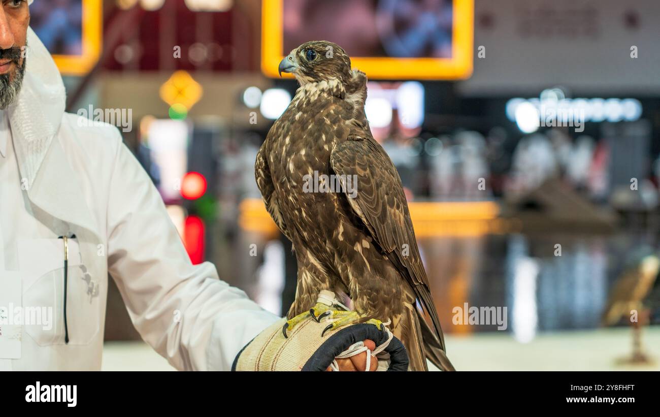 A majestic falcon captured in a striking pose, showcasing its sharp ...