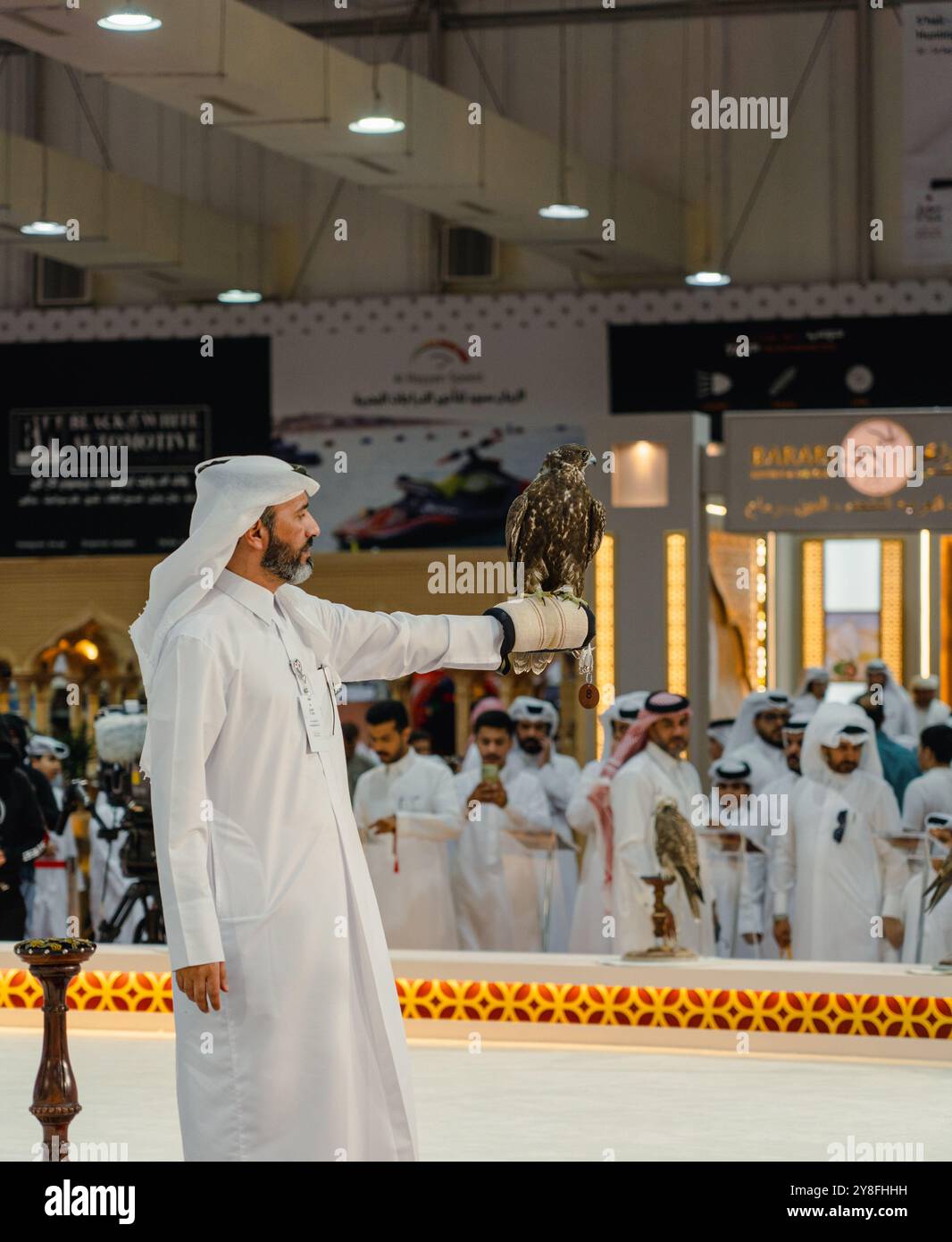 Doha, Qatar October 5, 2024: A majestic falcon captured in a striking ...