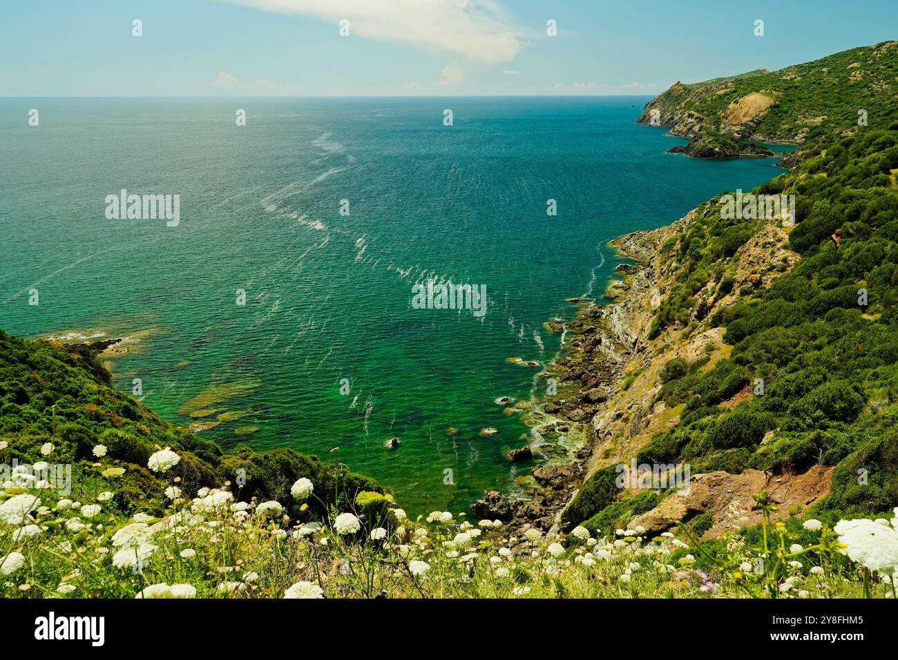 The SP 49 provincial road, that connects Bosa to Alghero, is one of the ...