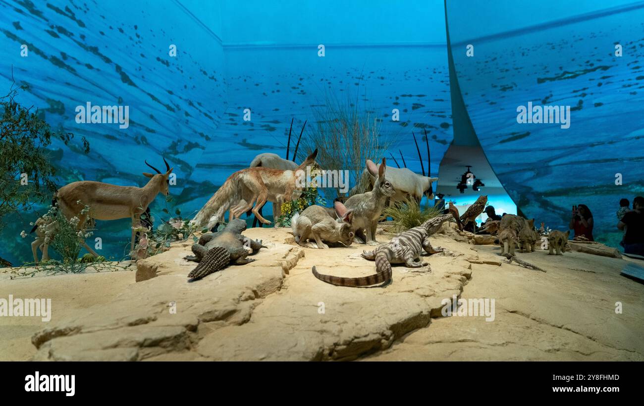Doha, Qatar October 5, 2024: An exhibit at Qatar National Library ...