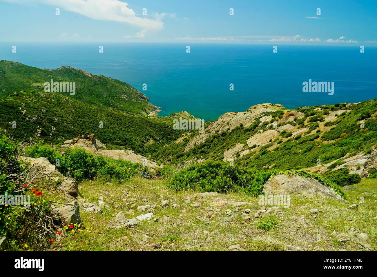 The SP 49 provincial road, that connects Bosa to Alghero, is one of the ...
