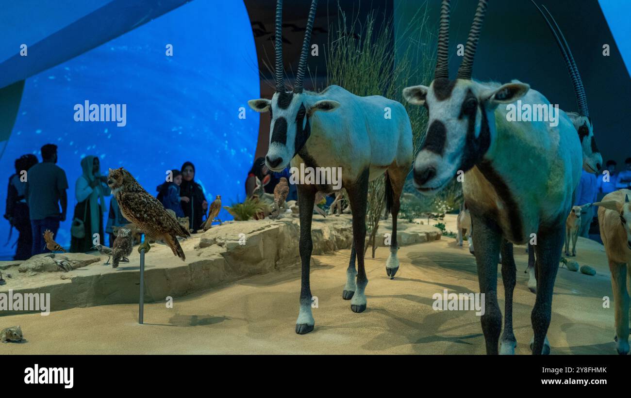 Doha, Qatar October 5, 2024: An exhibit at Qatar National Library ...