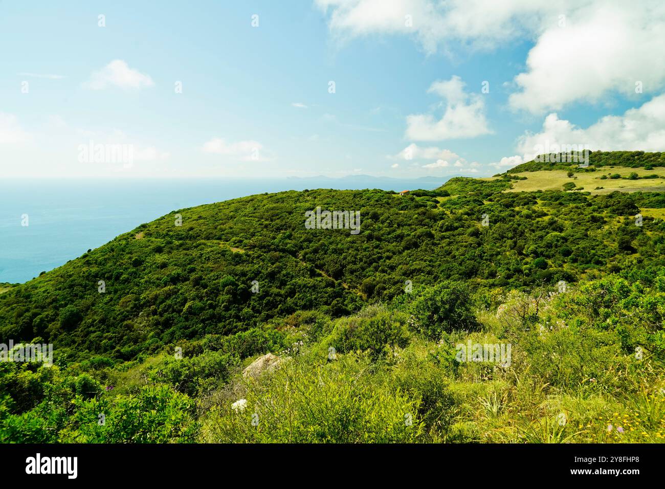 The SP 49 provincial road, that connects Bosa to Alghero, is one of the ...