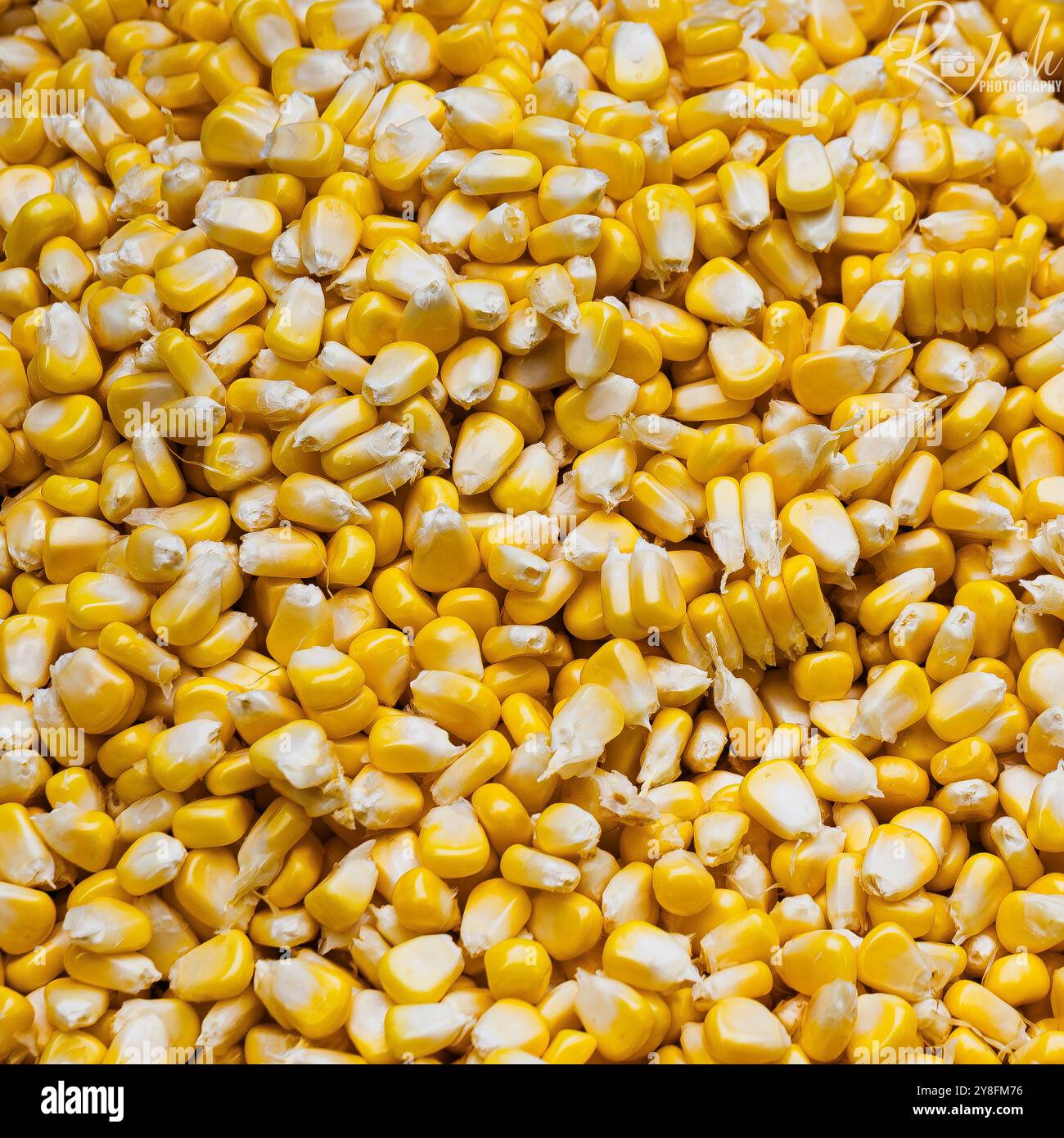 Cron plant hi-res stock photography and images - Alamy