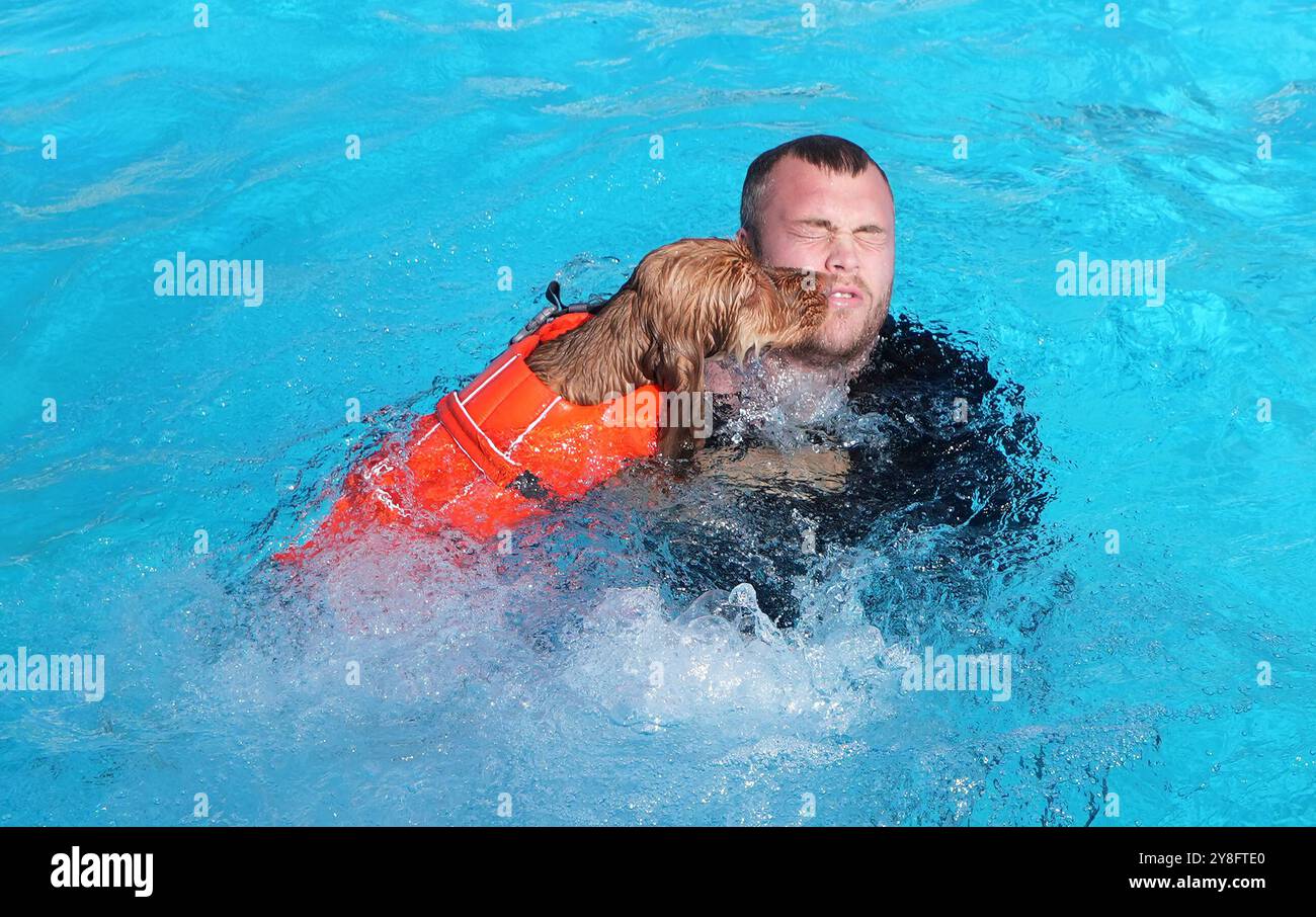Dogs and their owners swim in the Saltdean Lido in Saltdean, Brighton ...