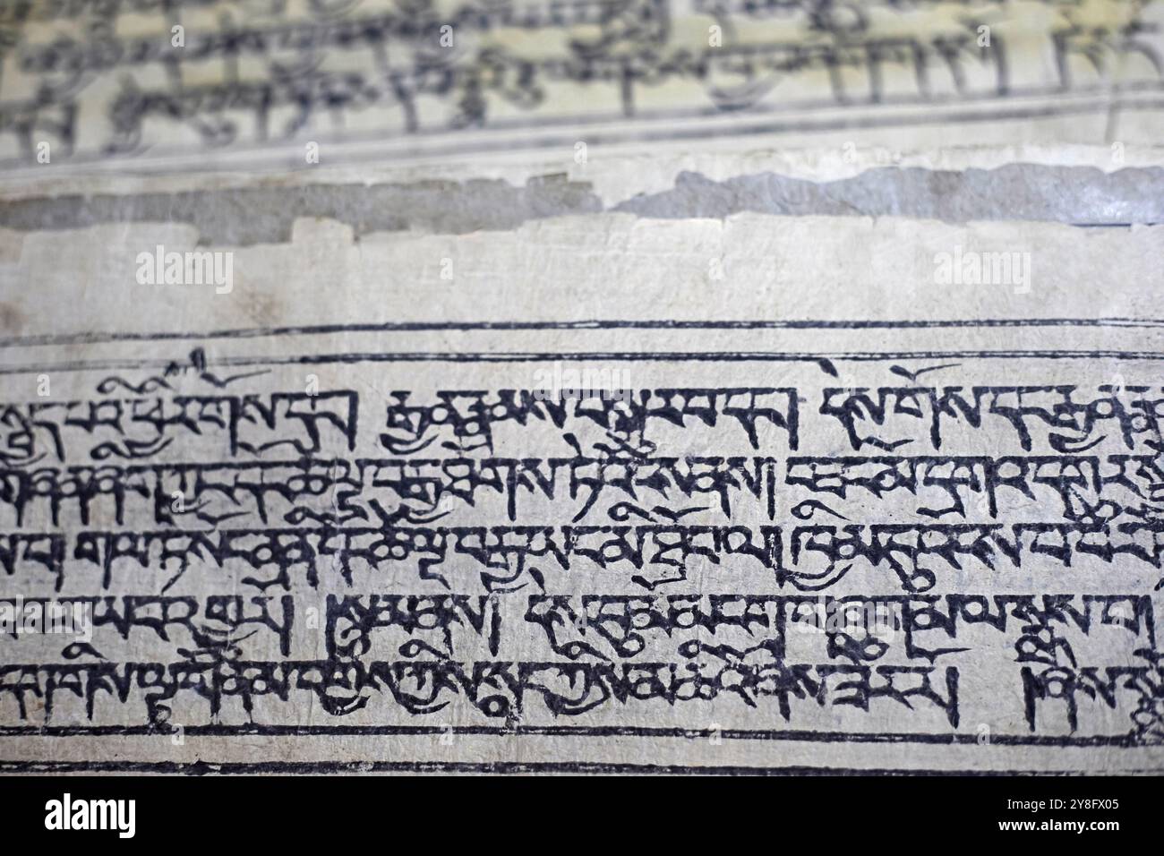 Ancient Script, Scripture, Ladakh, Art, India. Monastary. Buddhist ...