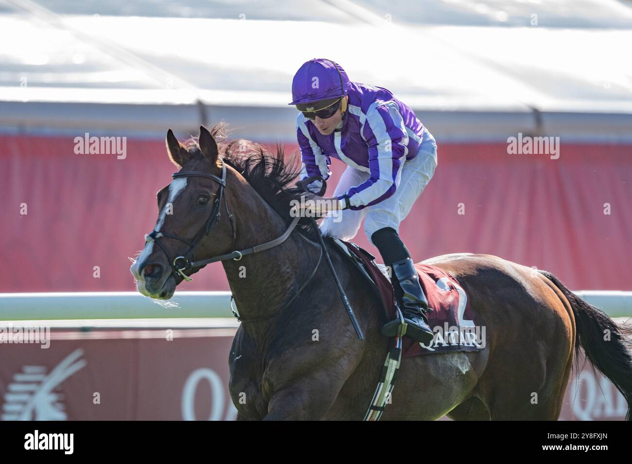 Coolmore stud hi-res stock photography and images - Alamy