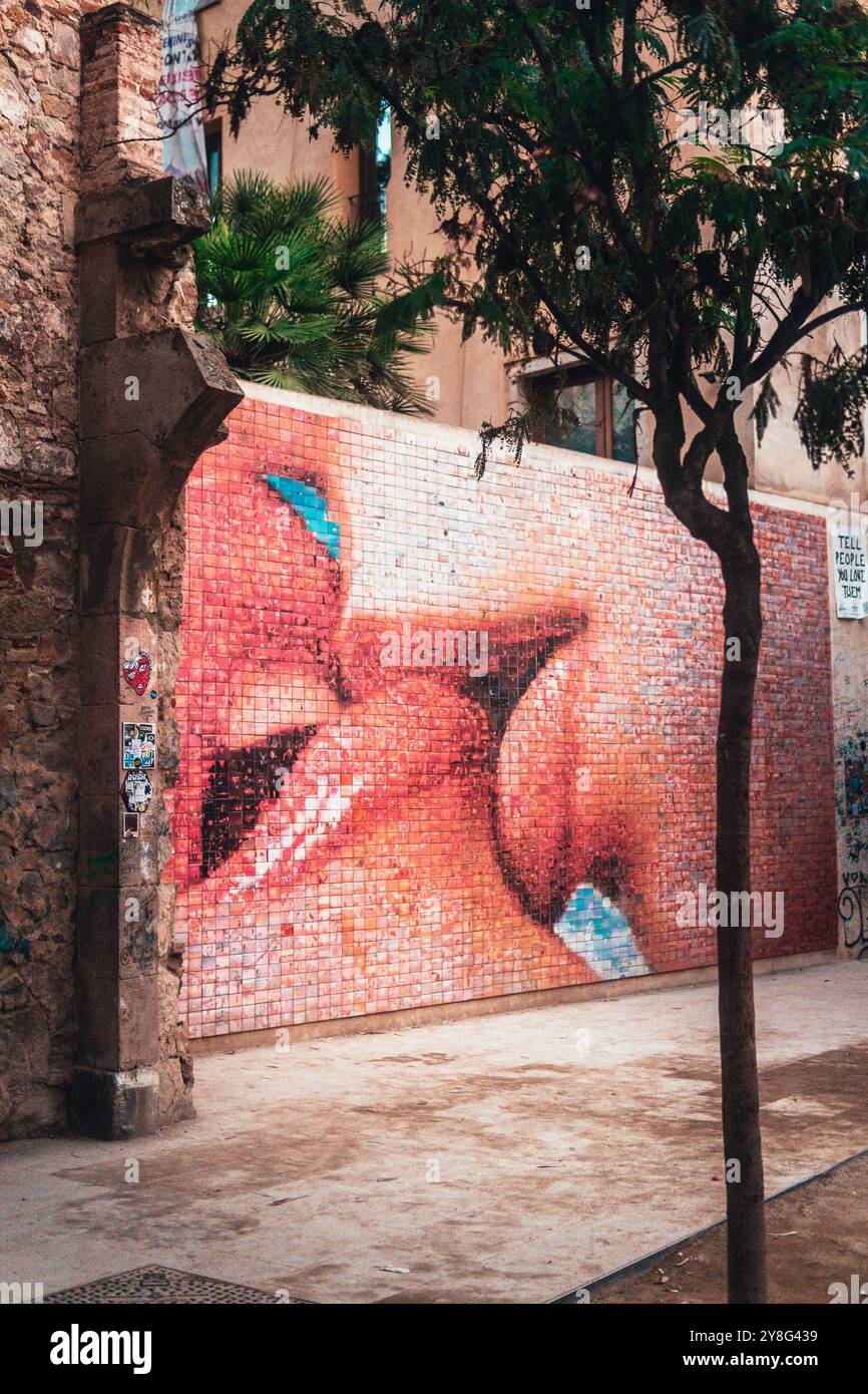 Catedral de barcelona plaza hi-res stock photography and images - Alamy