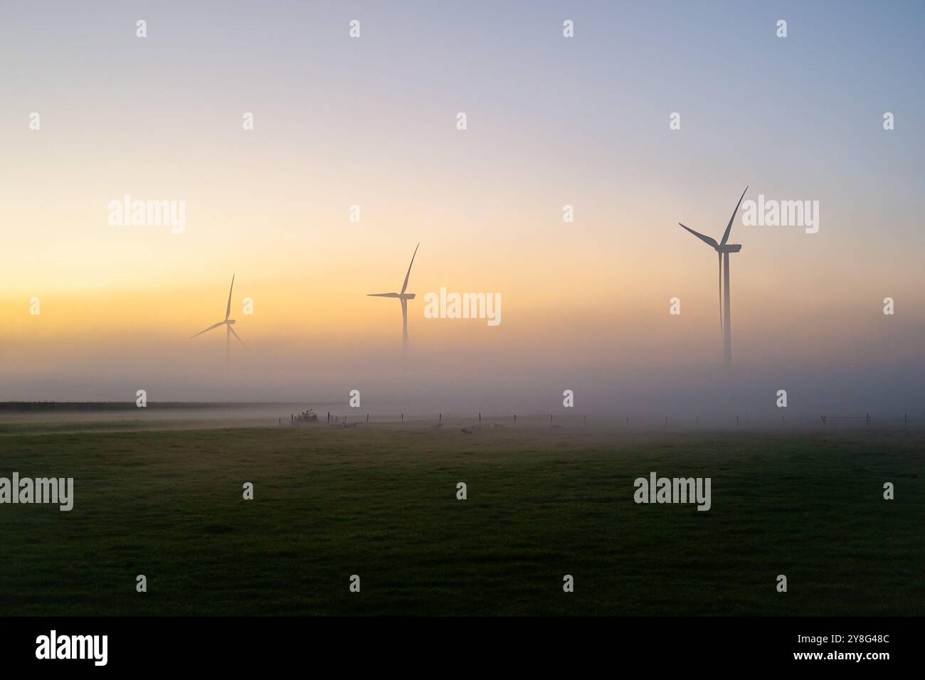 Scenic view of wind turbines rising above a layer of fog during sunrise ...