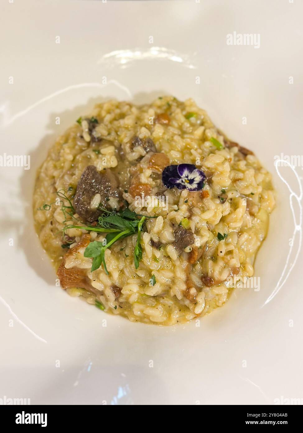 Delicious creamy risotto topped with fresh herbs and a vibrant edible ...