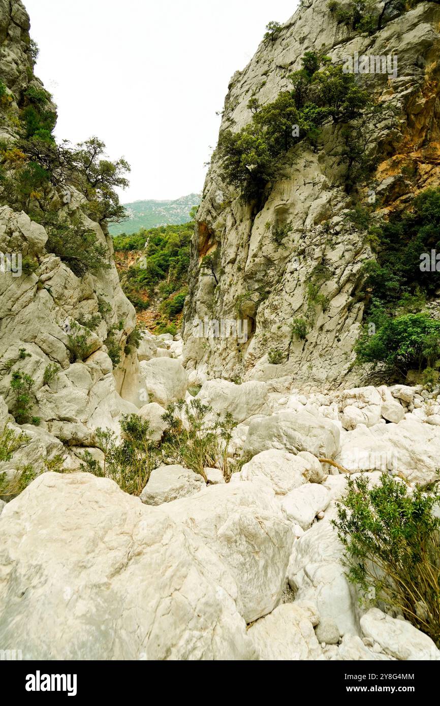 The exuberant natural scenery of the Gole del Gorropu which hosts the ...