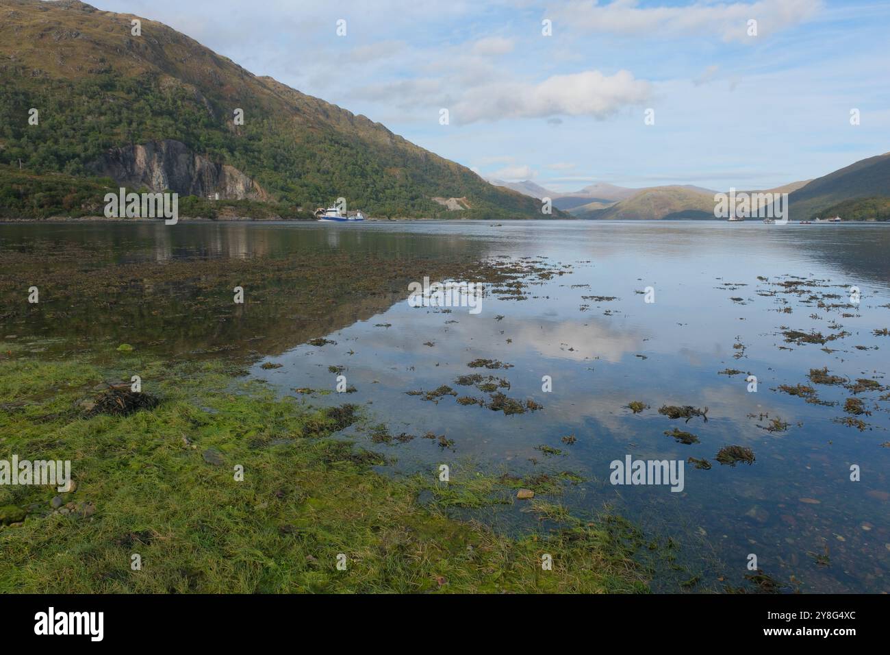 Loch Etive, Scotland Stock Photo - Alamy