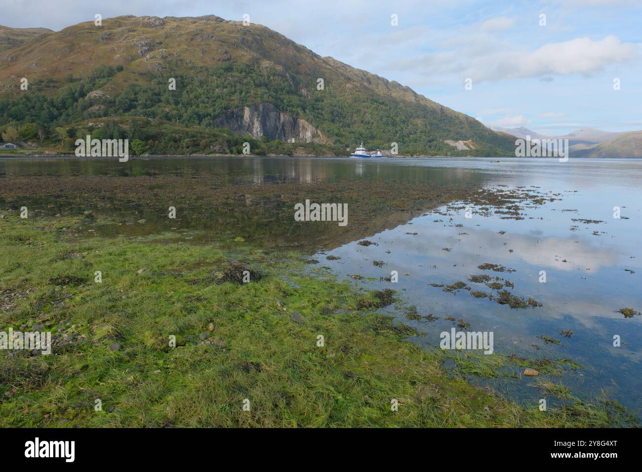 Loch Etive, Scotland Stock Photo - Alamy