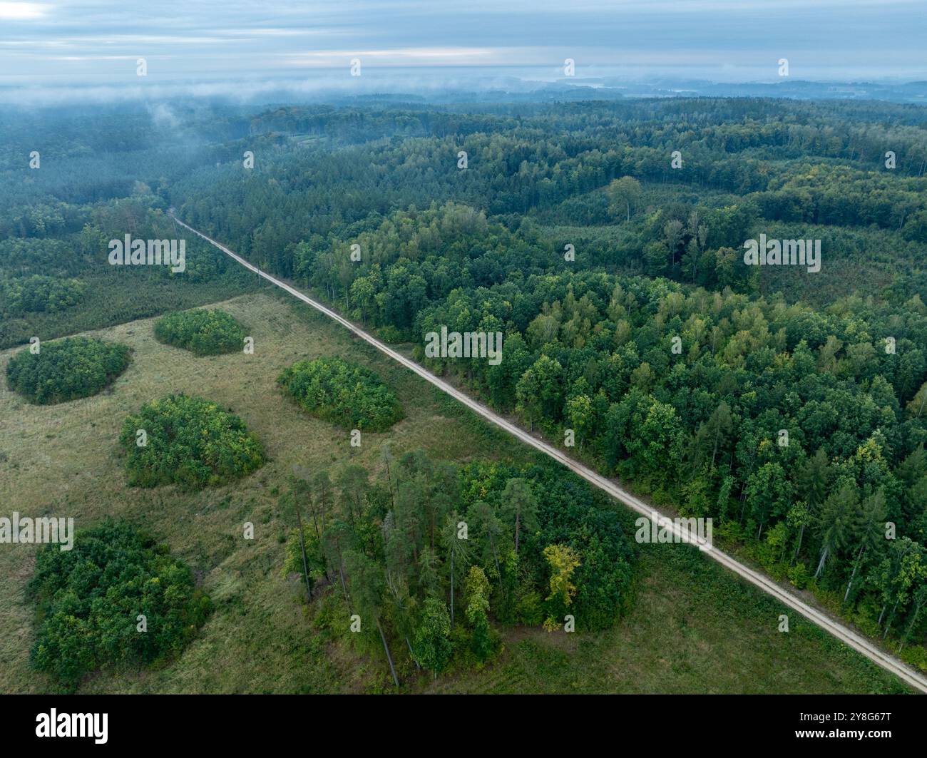 Aerial drone view of green forest in Kulka Reserve, Masuria, Poland ...