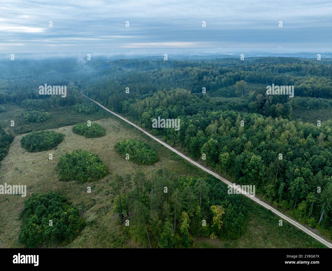 Aerial drone view of green forest in Kulka Reserve, Masuria, Poland ...