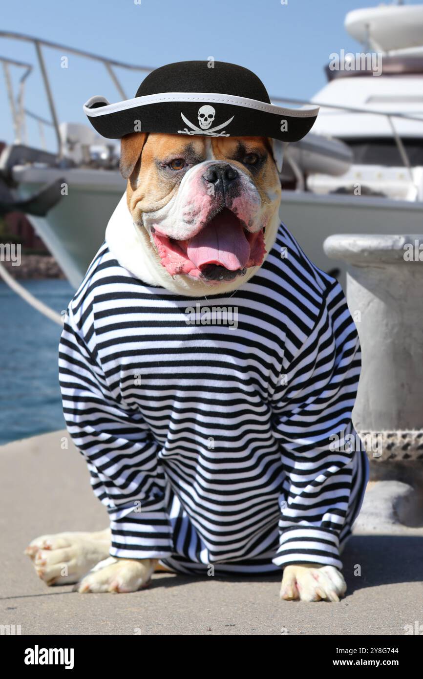 Sitting bull yacht hi-res stock photography and images - Alamy
