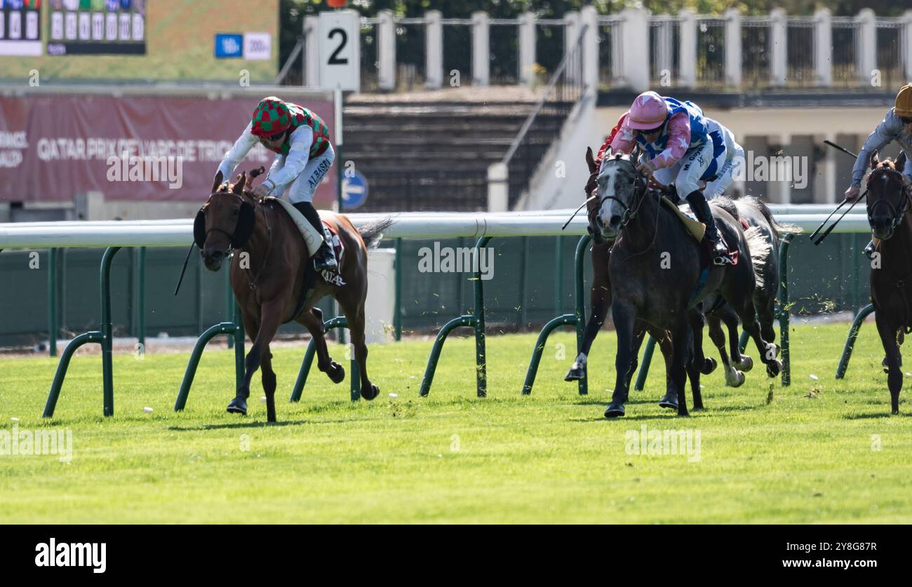 Arabian trophy des juments hi-res stock photography and images - Alamy