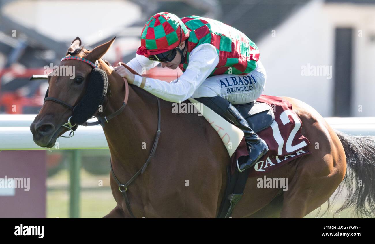 Qatar arabian trophy des juments hi-res stock photography and images ...