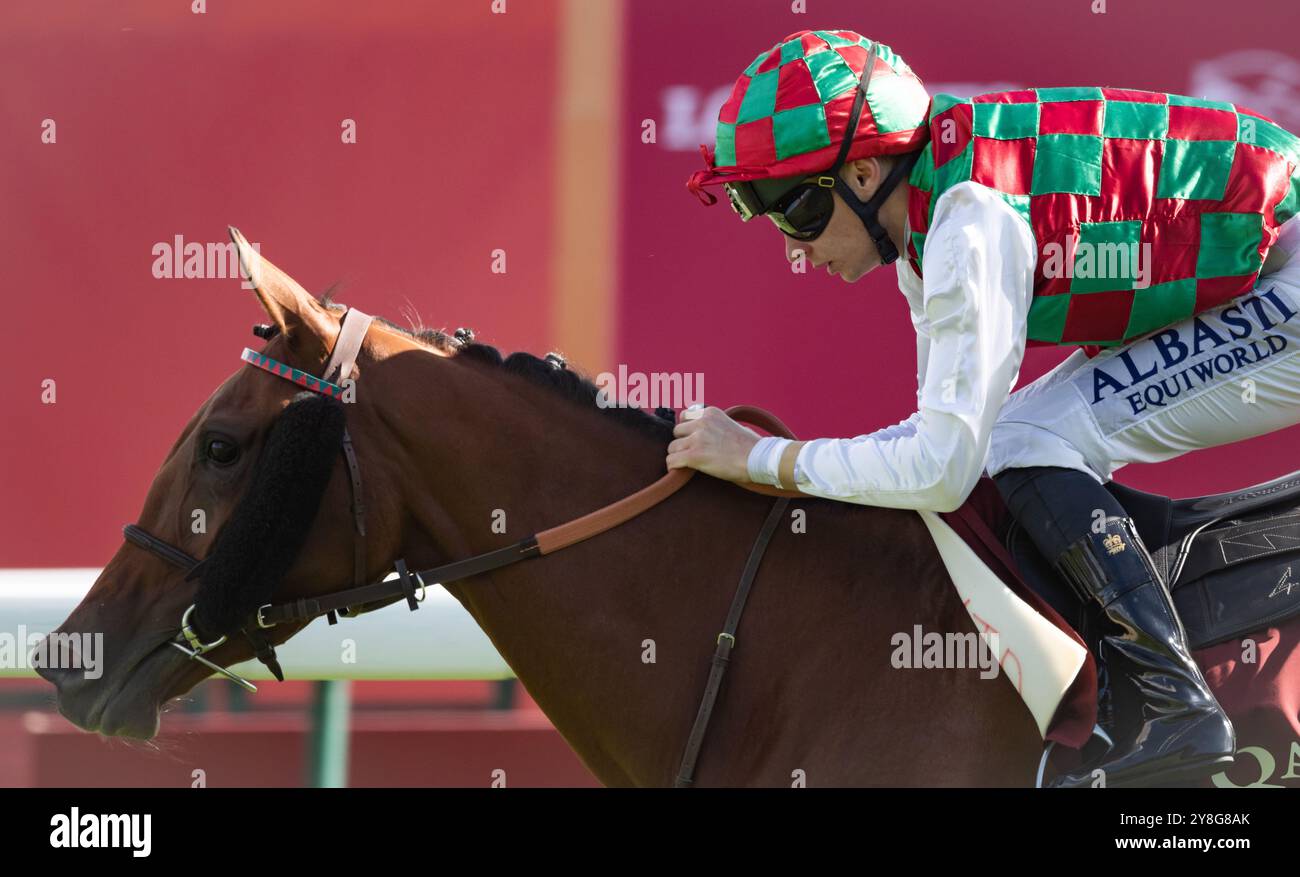 Arabian trophy des juments hi-res stock photography and images - Alamy