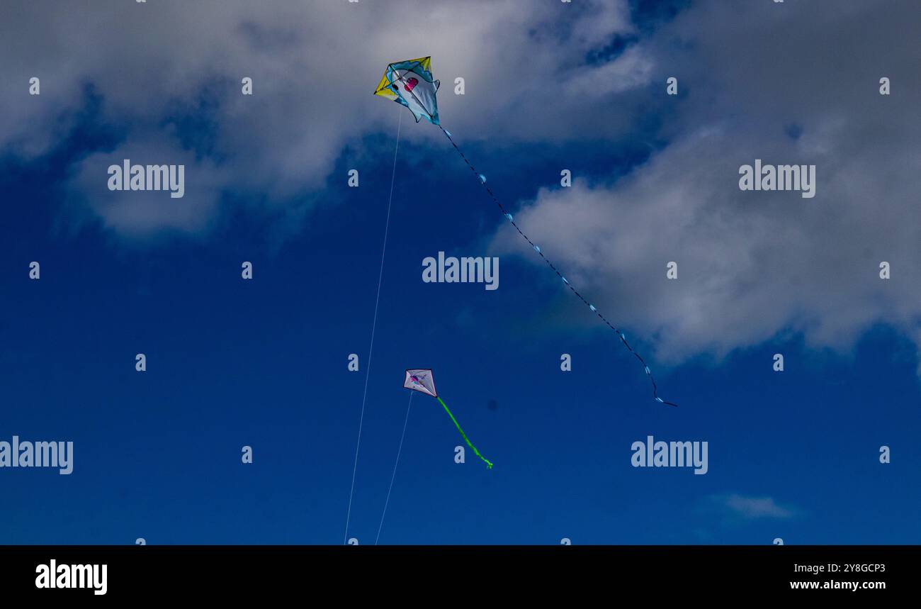 Wind dragons fly in the blue sky.two wind dragons play in the sky with the wind Stock Photo - Alamy