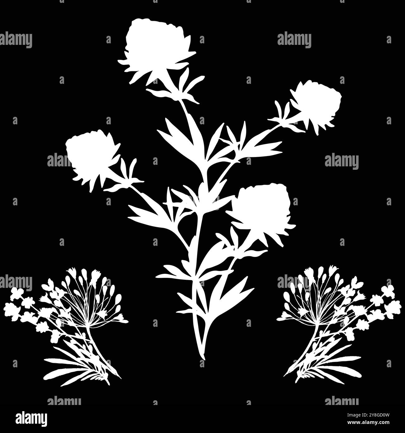 Floral pattern with arrows for use in web design. Vector isolated image ...