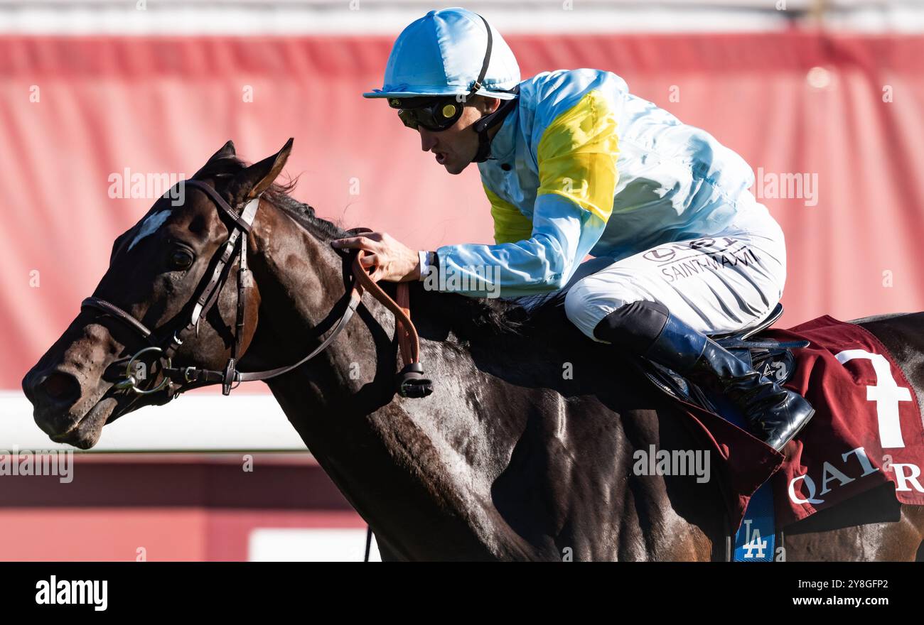 Prix daniel wildenstein hi-res stock photography and images - Alamy
