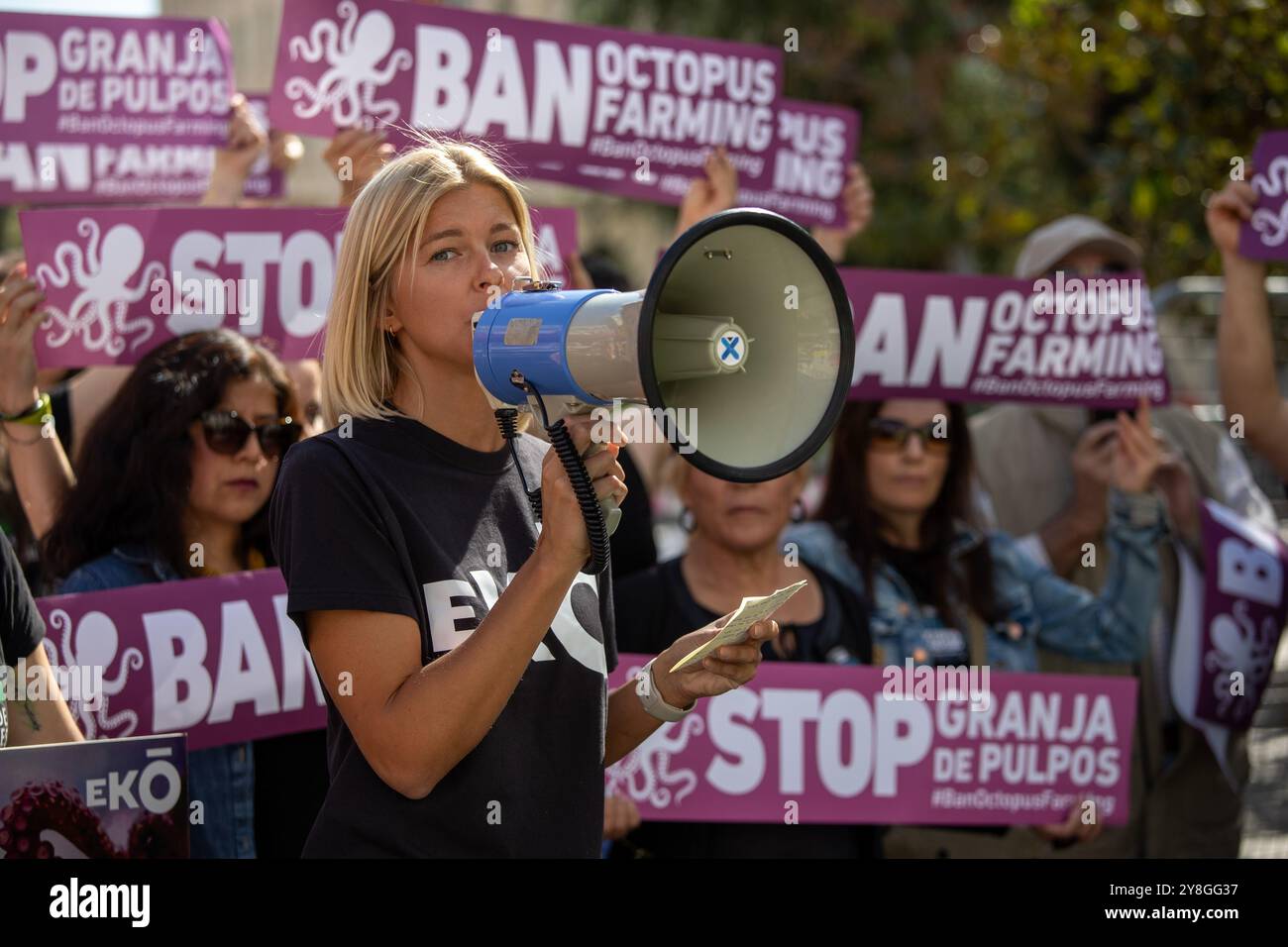 World octopus day hi-res stock photography and images - Alamy