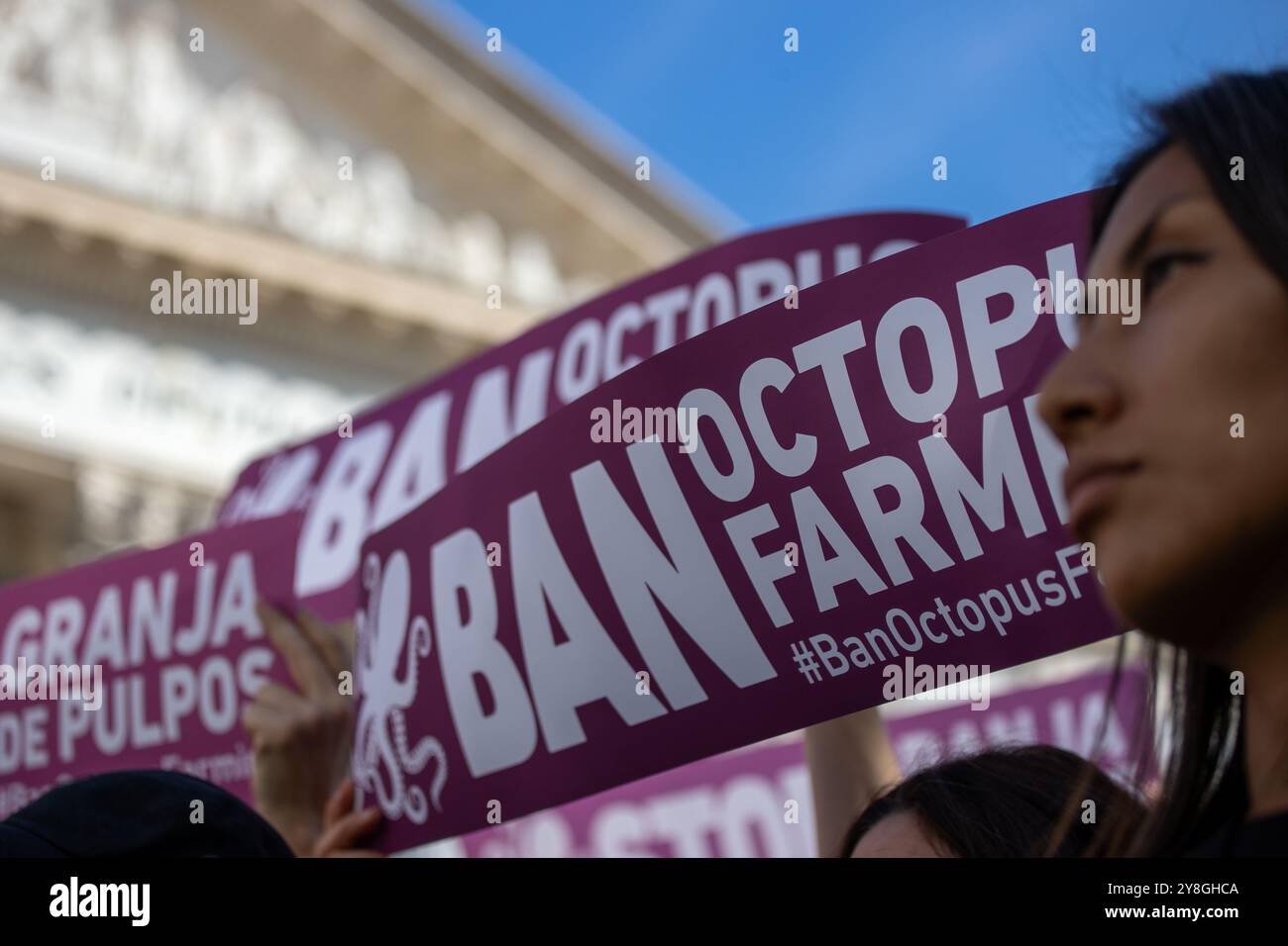 World octopus day hi-res stock photography and images - Alamy